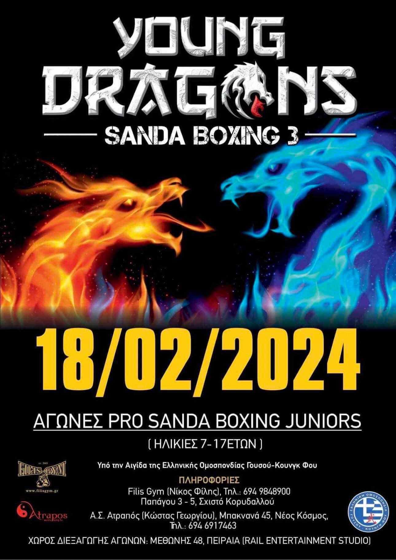 Young Dragons Sanda Boxing 3 - Οι Συμμετοχές μας